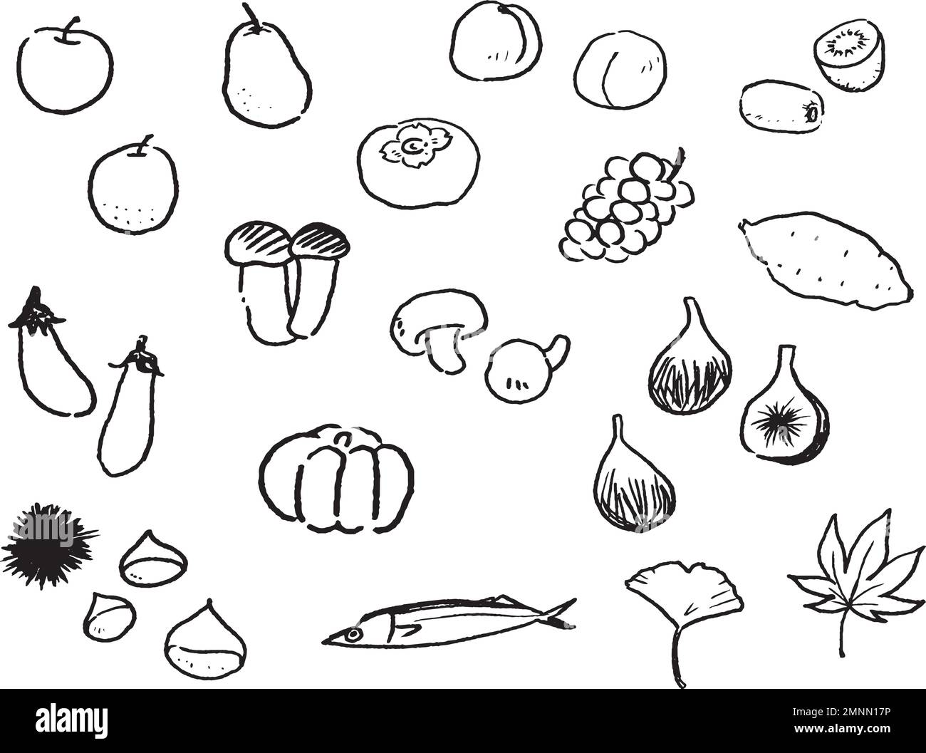 Black line kiwi fruit icon Cut Out Stock Images & Pictures - Alamy