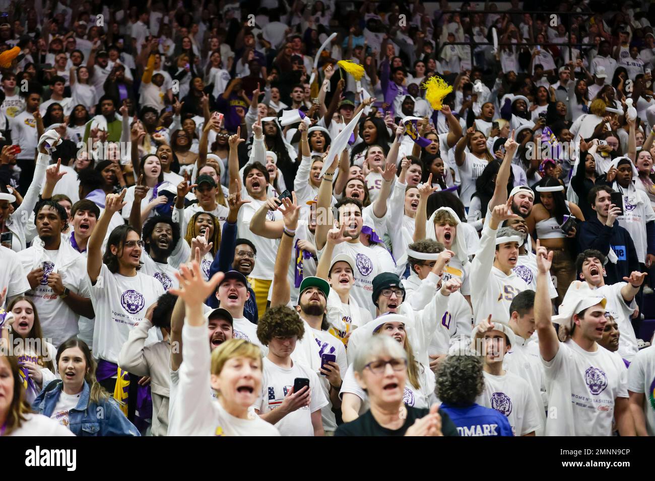 LSU fans celebrate following a win over Tennessee in an NCAA college ...