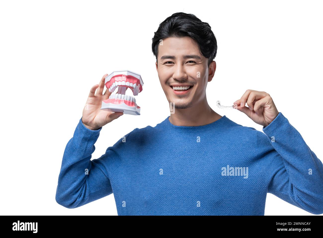 Transparent model human teeth hi-res stock photography and images - Alamy