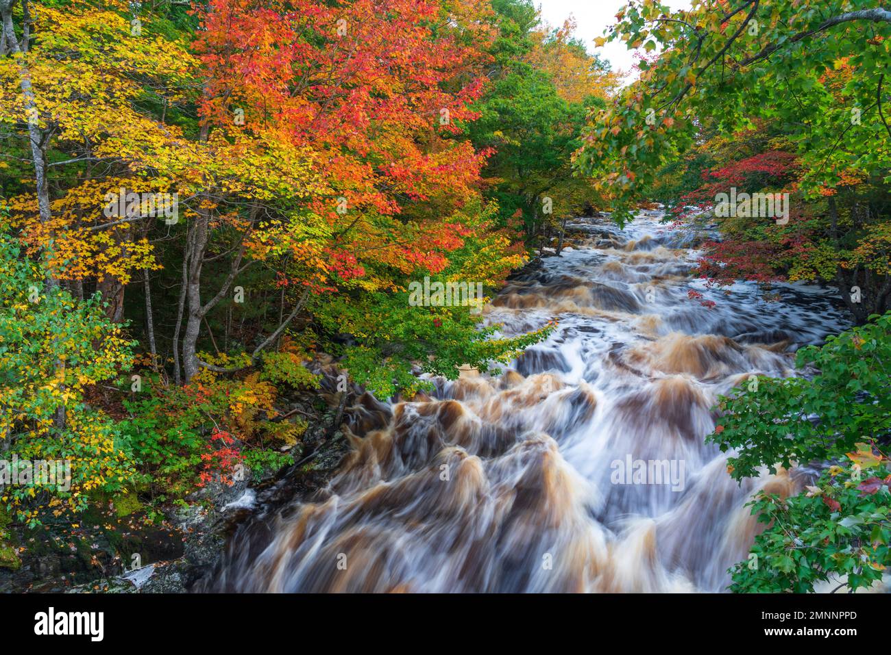 The Sable River with fall foliage color, Nova Scotia, Canada Stock ...