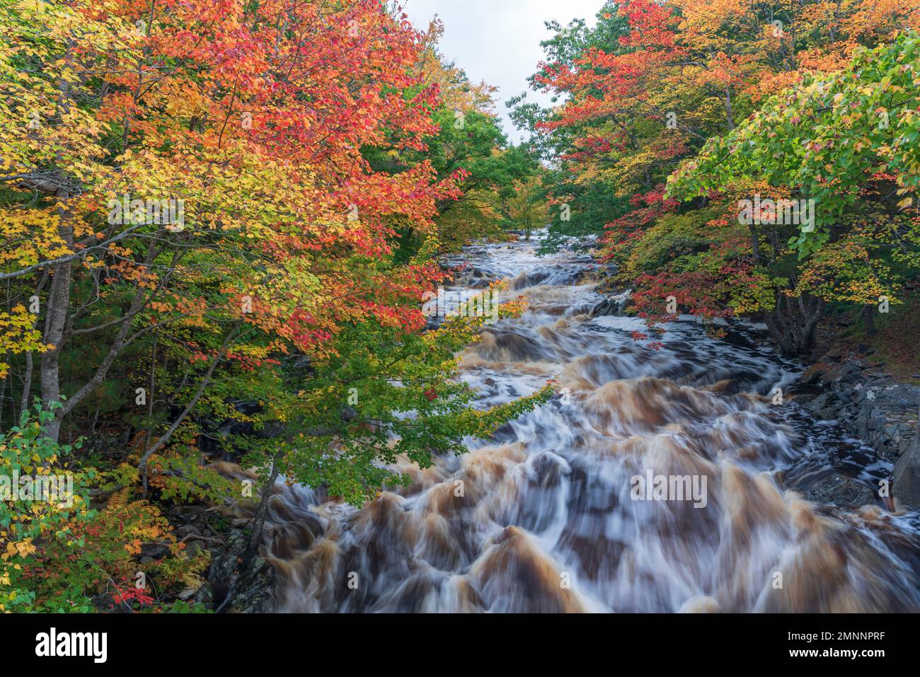 The Sable River with fall foliage color, Nova Scotia, Canada Stock ...
