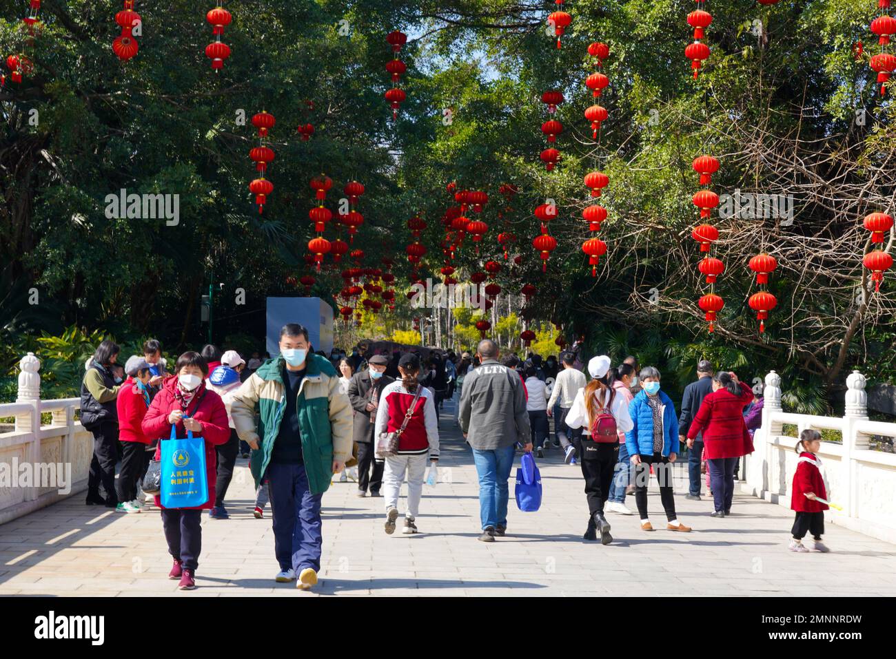 GUILIN, CHINA - JANUARY 30, 2023 - Tulips in full bloom in Zi Zhou Park attract tourists and ...