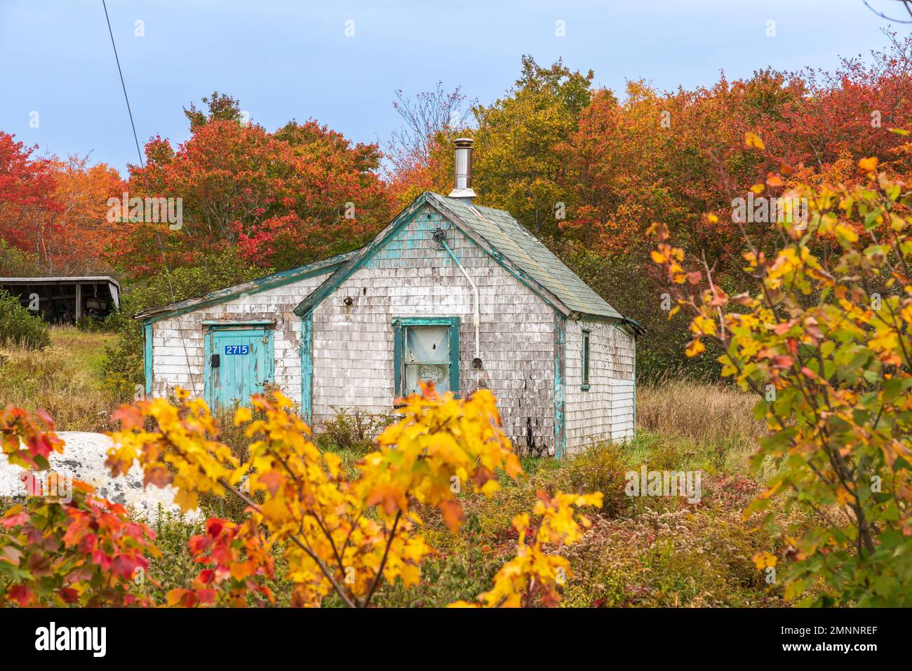 A small cottage with fall foliage color near Sandy Point, Nova Scotia ...