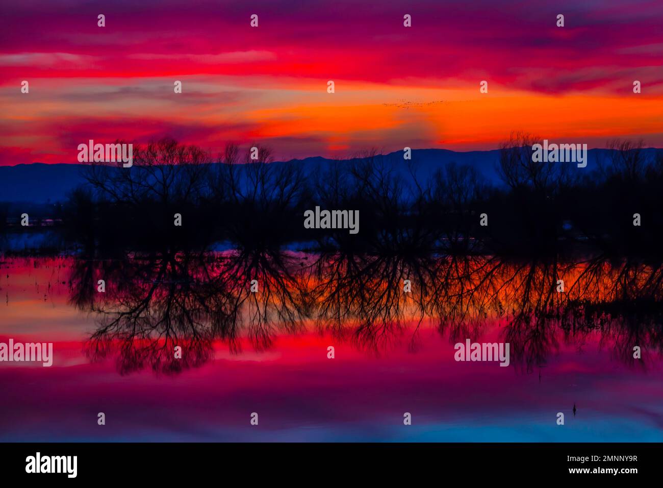 Reddening hi-res stock photography and images - Alamy