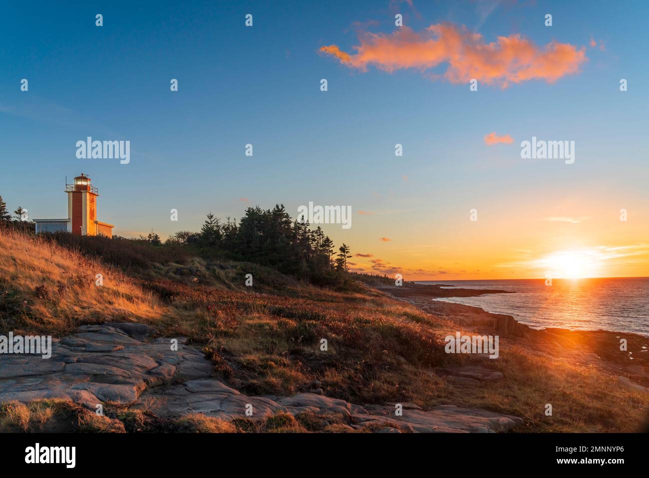 Prim point hi-res stock photography and images - Alamy