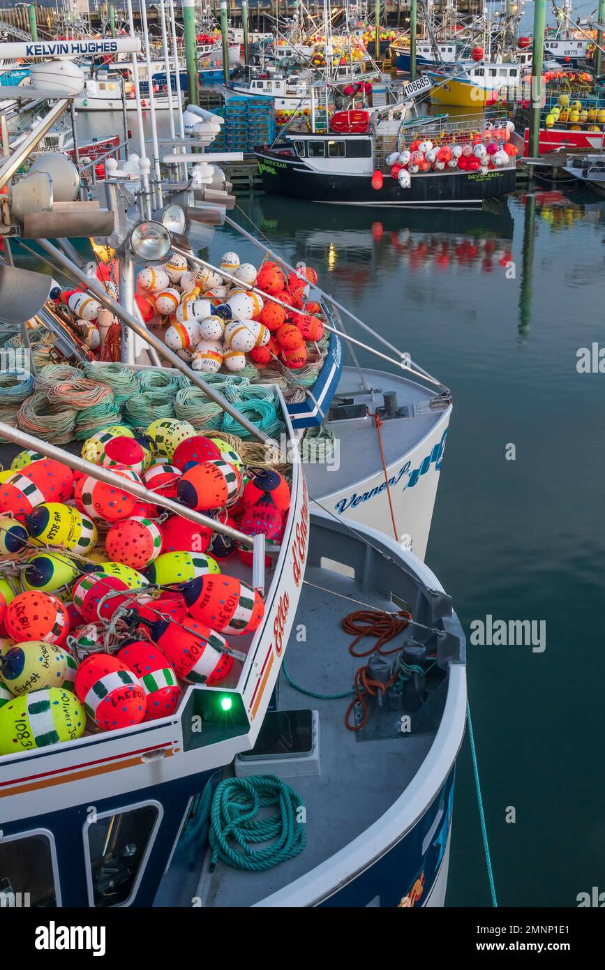 Fishing boats preparing for opening of the fishing season on the docks ...