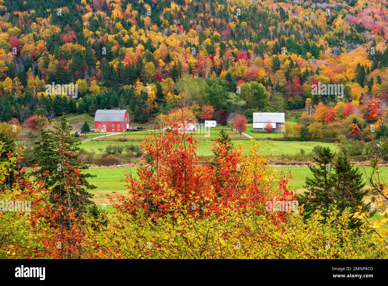 Fall foliage color along the Cabot Trail, Cape Brreton Island, Nova ...