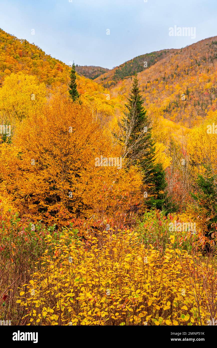 Fall foliage color along the Cabot Trail, Cape Brreton Island, Nova ...