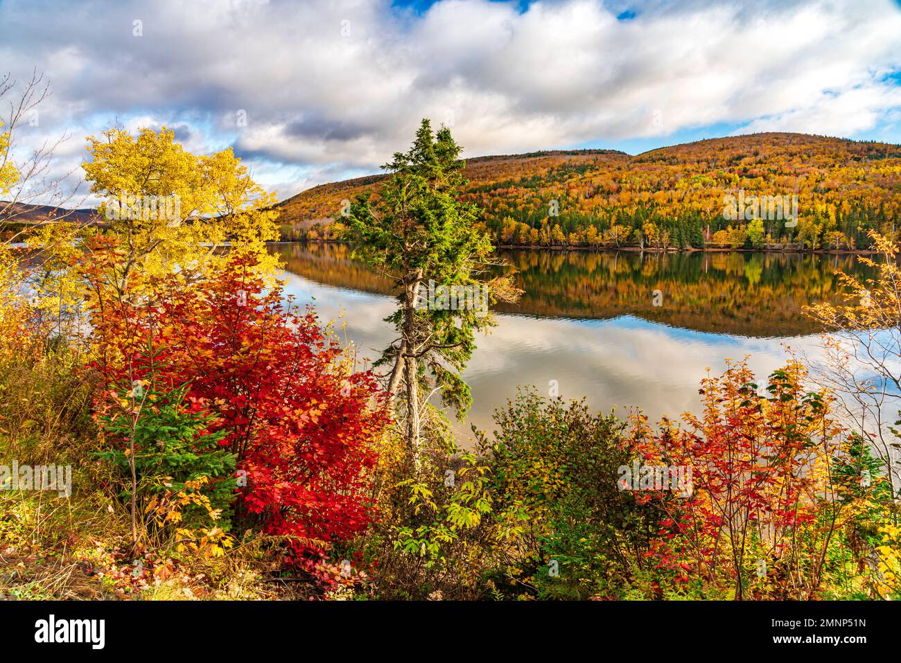 Fall foliage color along the Cabot Trail, Cape Brreton Island, Nova ...