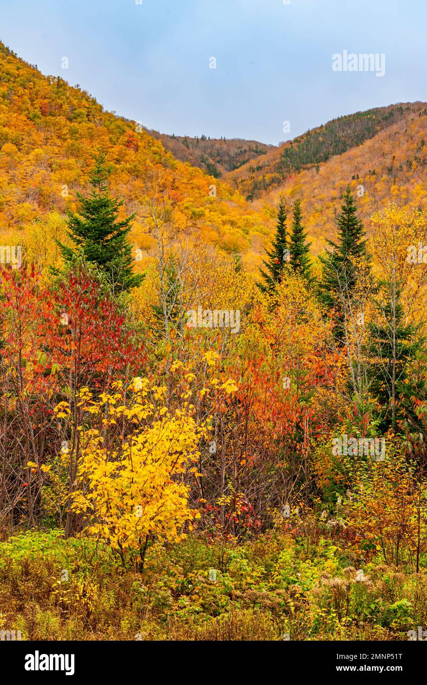 Fall foliage color along the Cabot Trail, Cape Brreton Island, Nova ...