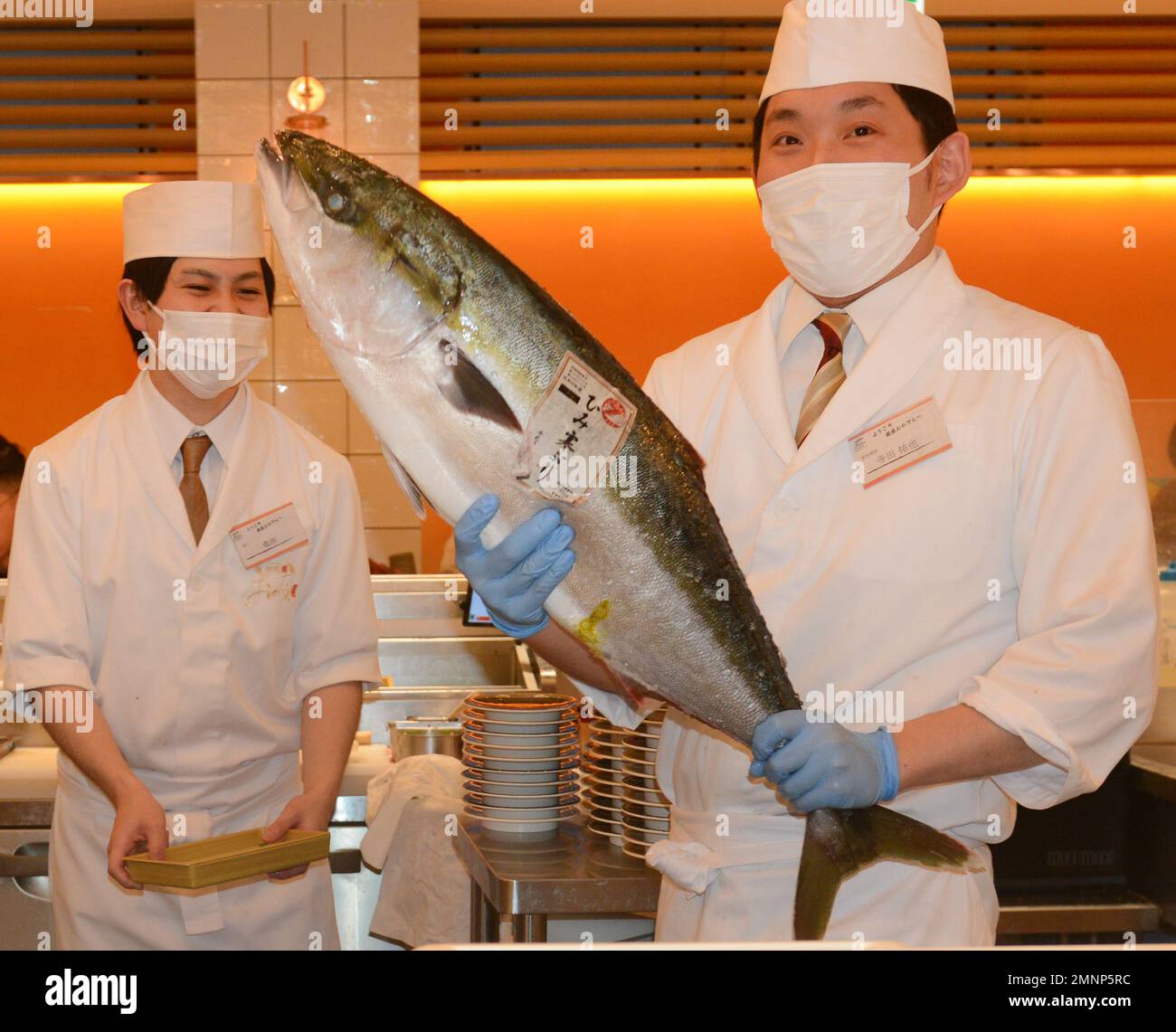 Sushi chef holding a fresh Tuna fish at the Kaiten Sushi restaurant in ...