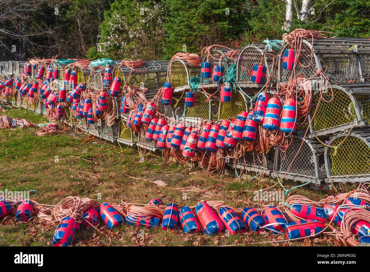 Fishing paraphernalia, buoys and lobster traps near Ingonish, Nova ...