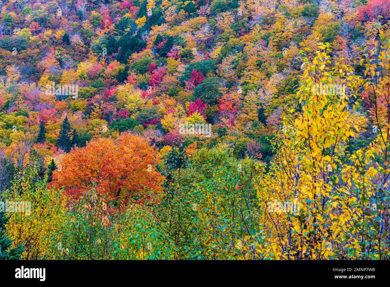 Cape Breton Highlands National Park, Nova Scotia, Canada Stock Photo ...