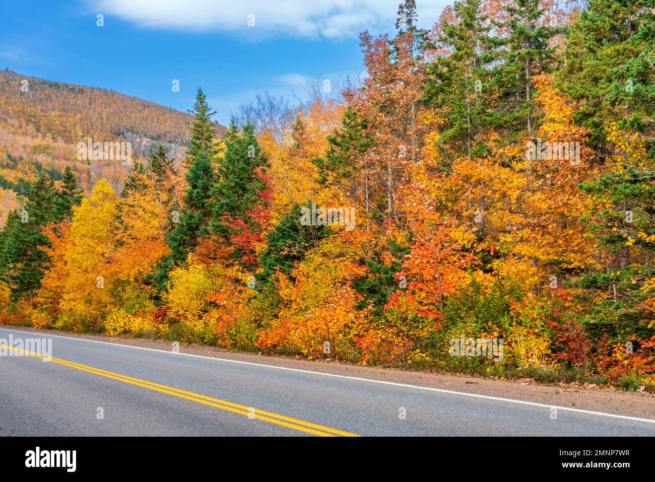 The Cabot trail and fall foliage throughCape Breton Highlands National ...