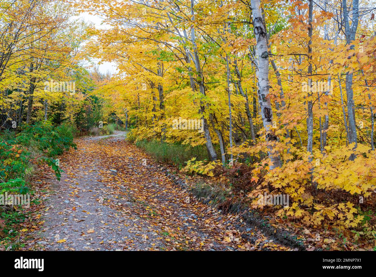 Cape Breton Highlands National Park, Nova Scotia, Canada Stock Photo ...