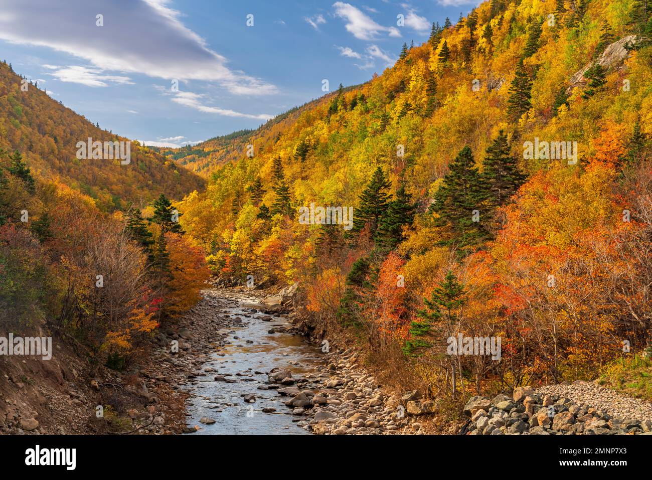 Cape Breton Highlands National Park, Nova Scotia, Canada Stock Photo ...
