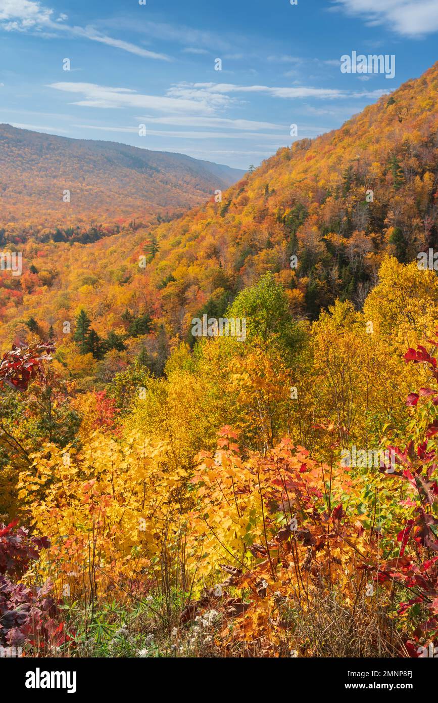 Cape Breton Highlands National Park, Nova Scotia, Canada Stock Photo ...