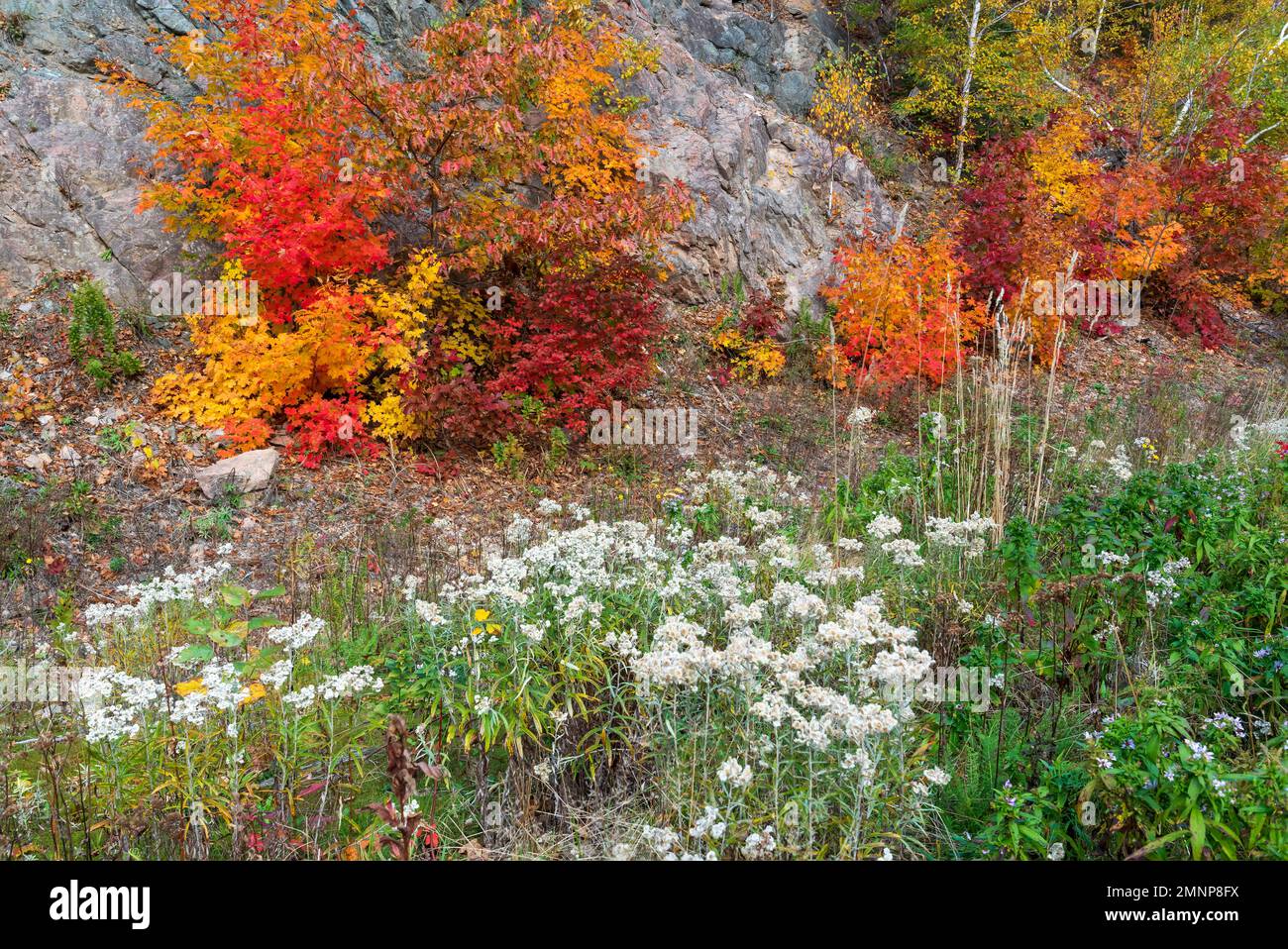 Cape Breton Highlands National Park, Nova Scotia, Canada Stock Photo ...