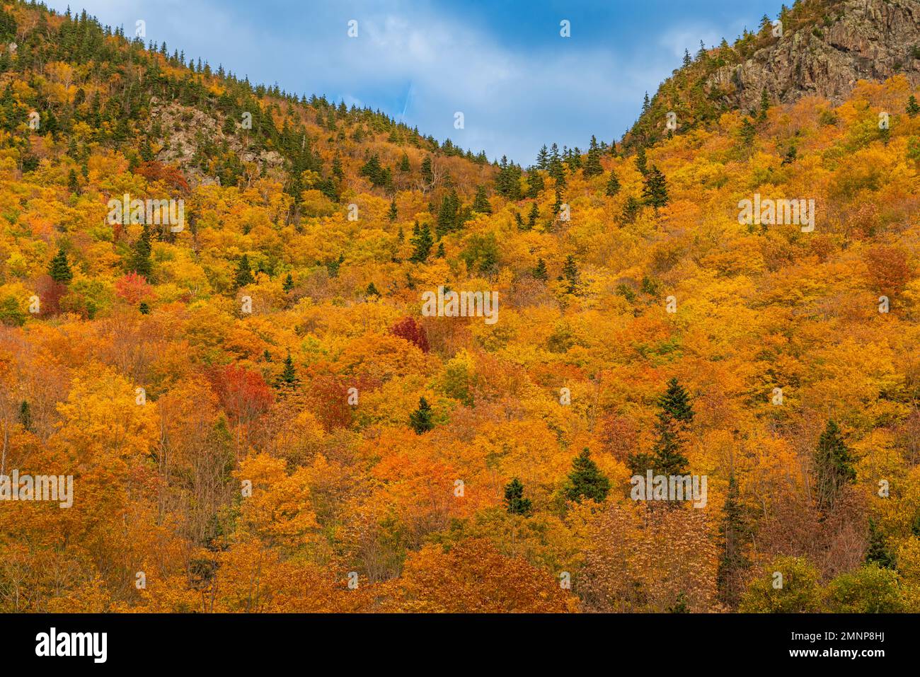 Cape Breton Highlands National Park, Nova Scotia, Canada Stock Photo ...