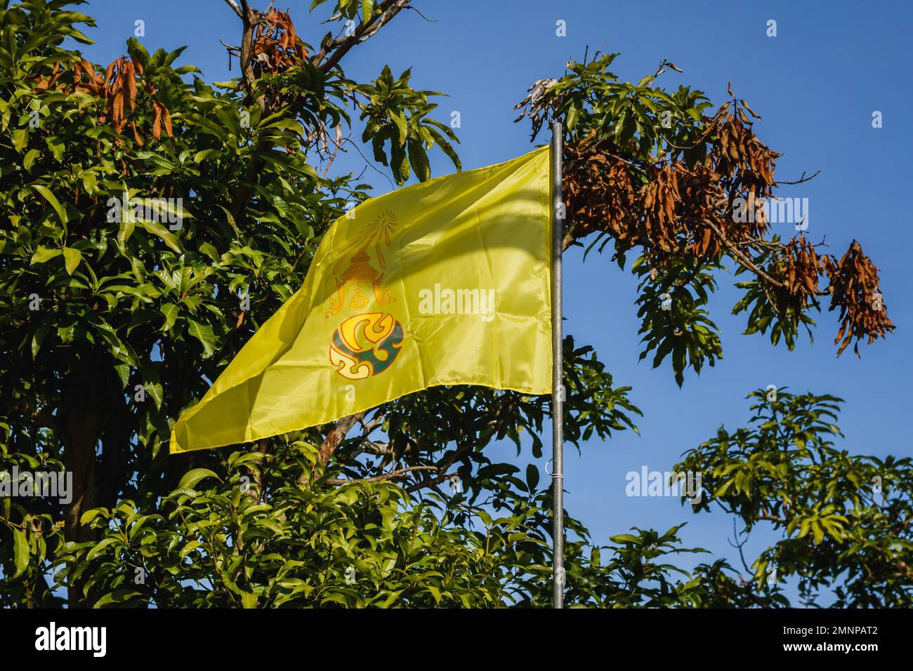 Royal flag of King Vajiralongkorn on a pole in Thailand with green ...