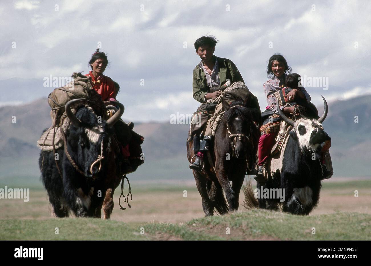 TIBETAN FAMILY ON THE MOVE ACROSS THE GRASSLANDS, TIBET Stock Photo - Alamy