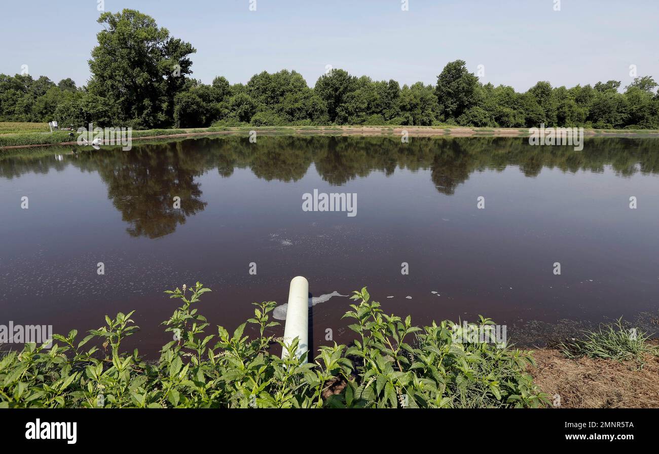 In this July 21, 2017, photo, a hog waste pond is seen at Everette ...