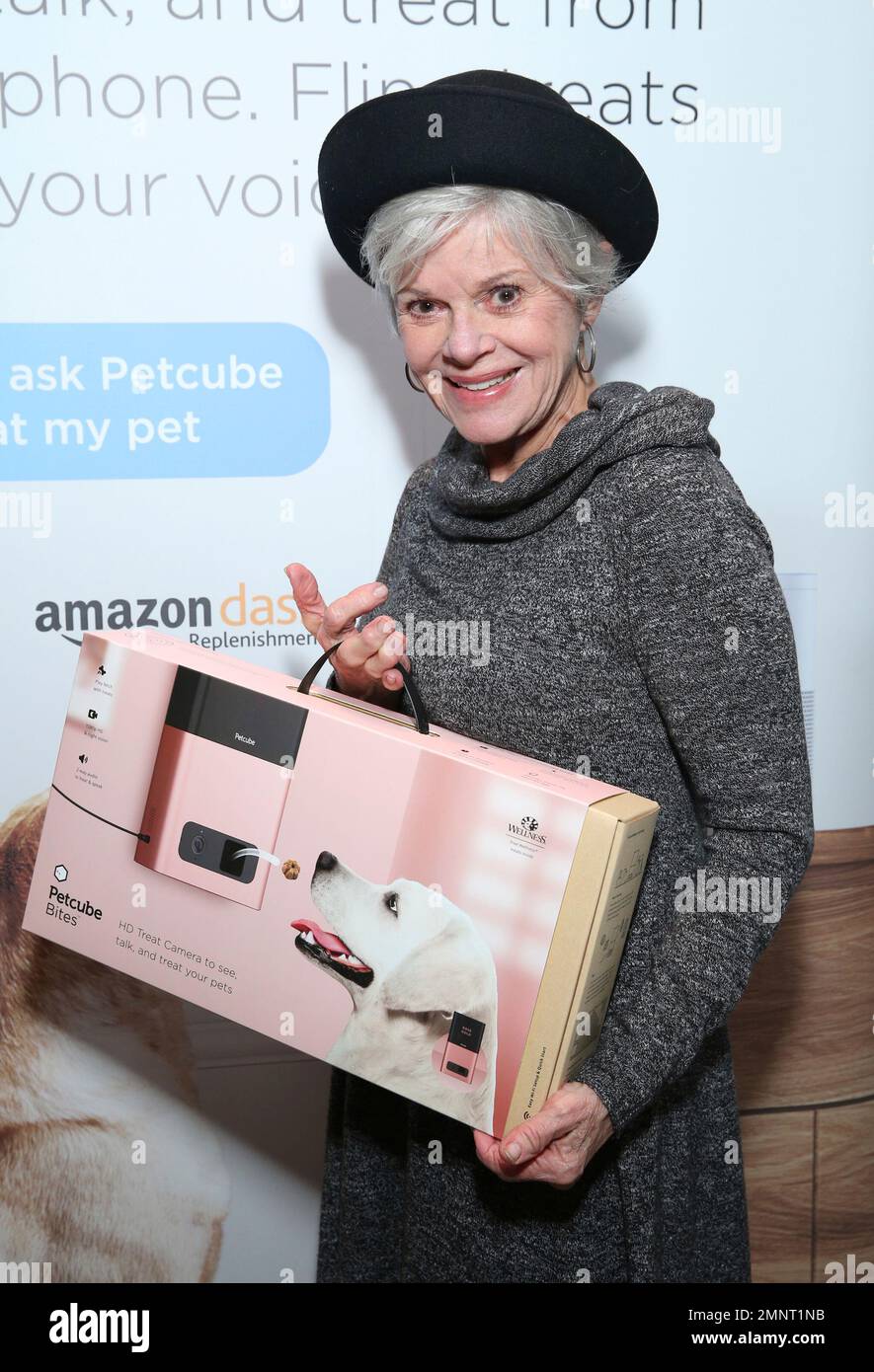 Caren L. Larkey attends Day 2 of the Kari Feinstein Style Lounge at the ...