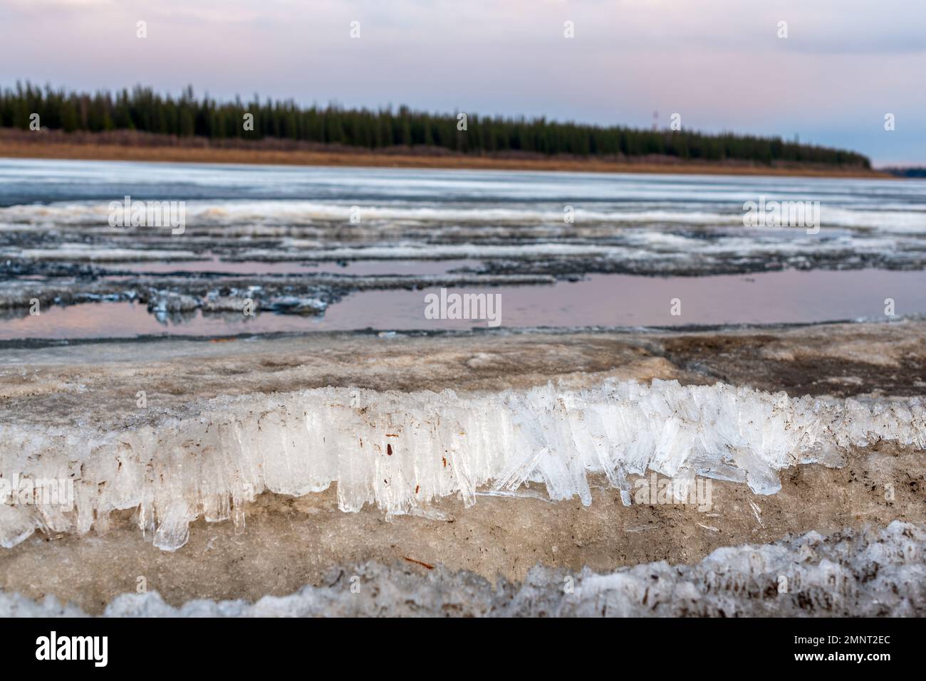 The last spring needle ice melts in strips on the icy river Vilyui in ...