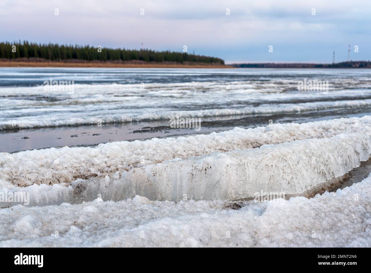 The last spring needle ice melts in strips on the icy river Vilyui in ...