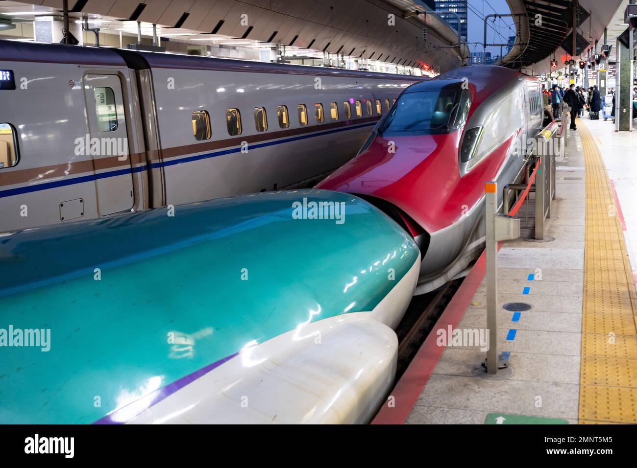 Tokyo, Japan. 27th Jan, 2023. A green H5 series train on the Hokkaido Shikansen coupled with the ...