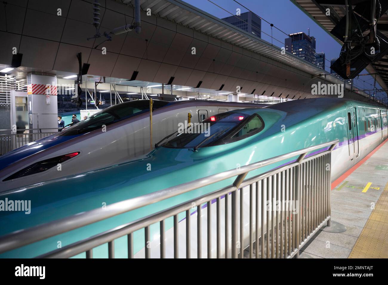 Tokyo, Japan. 27th Jan, 2023. A green E5 series train on the Hokkaido ...