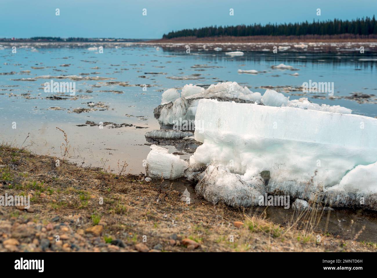 Ice floes lie on the banks of the Vilyui River in shallow water in ...