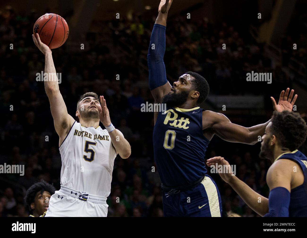 Notre Dame's Matt Farrell (5) goes up for a shot next to Pittsburgh's ...