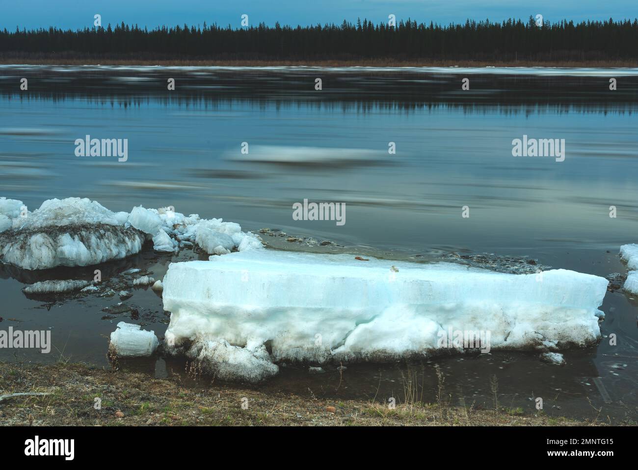 Shutter spe hi-res stock photography and images - Alamy