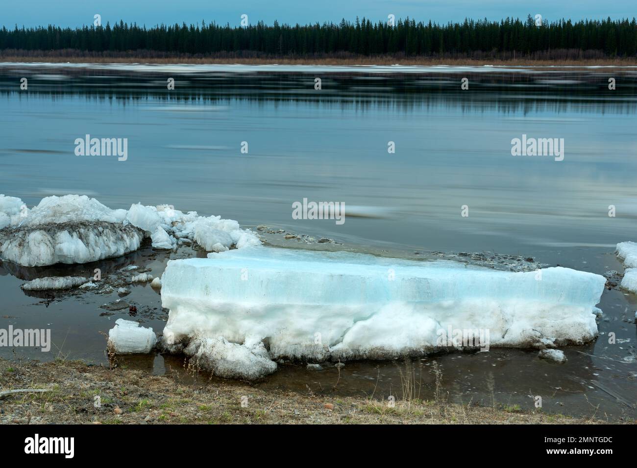 The remains of the last spring ice on the Vilyui River in Yakutia float ...