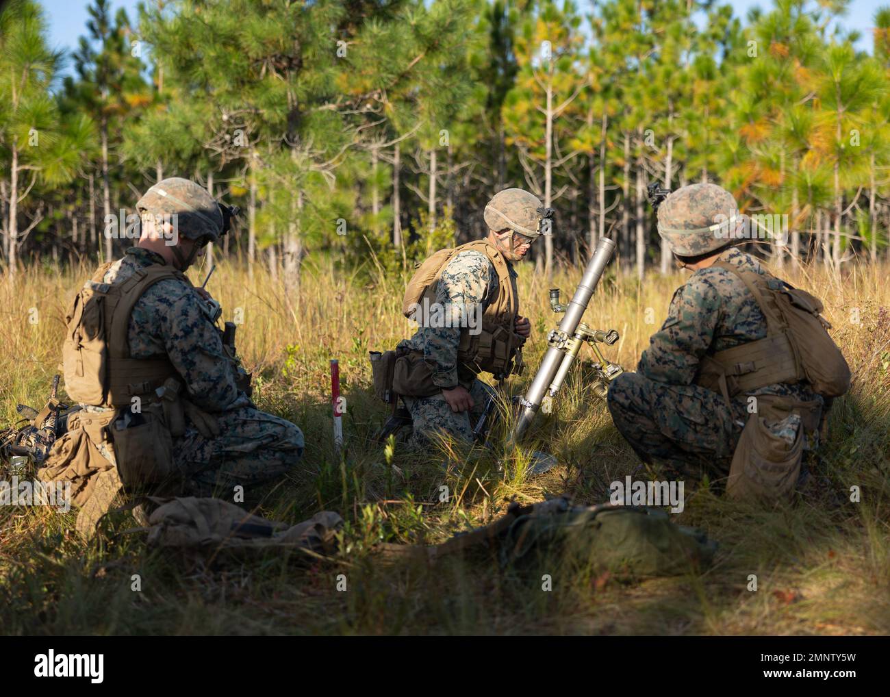 U.S. Marines with 1st Battalion, 6th Marine Regiment, 2d Marine ...