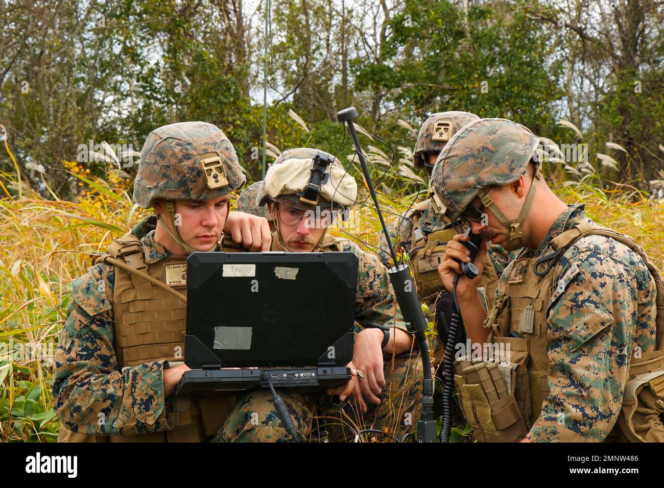 U.S. Marines with 3d Battalion, 12th Marine Regiment, 3d Marine ...
