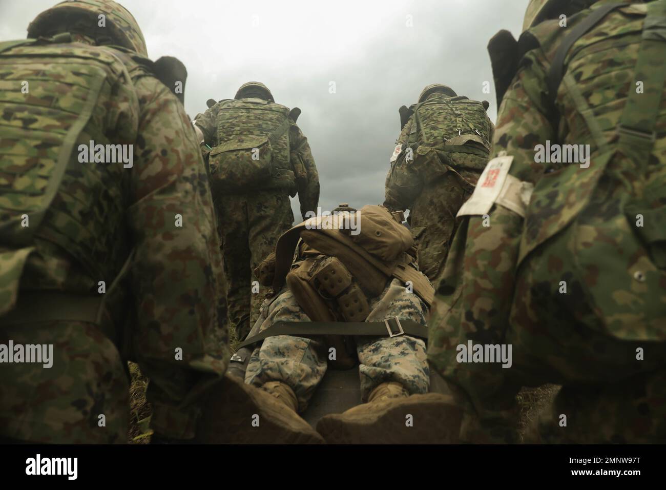 U.S. Navy Corpsmen with 3d Marine Division and Japan Ground Self ...