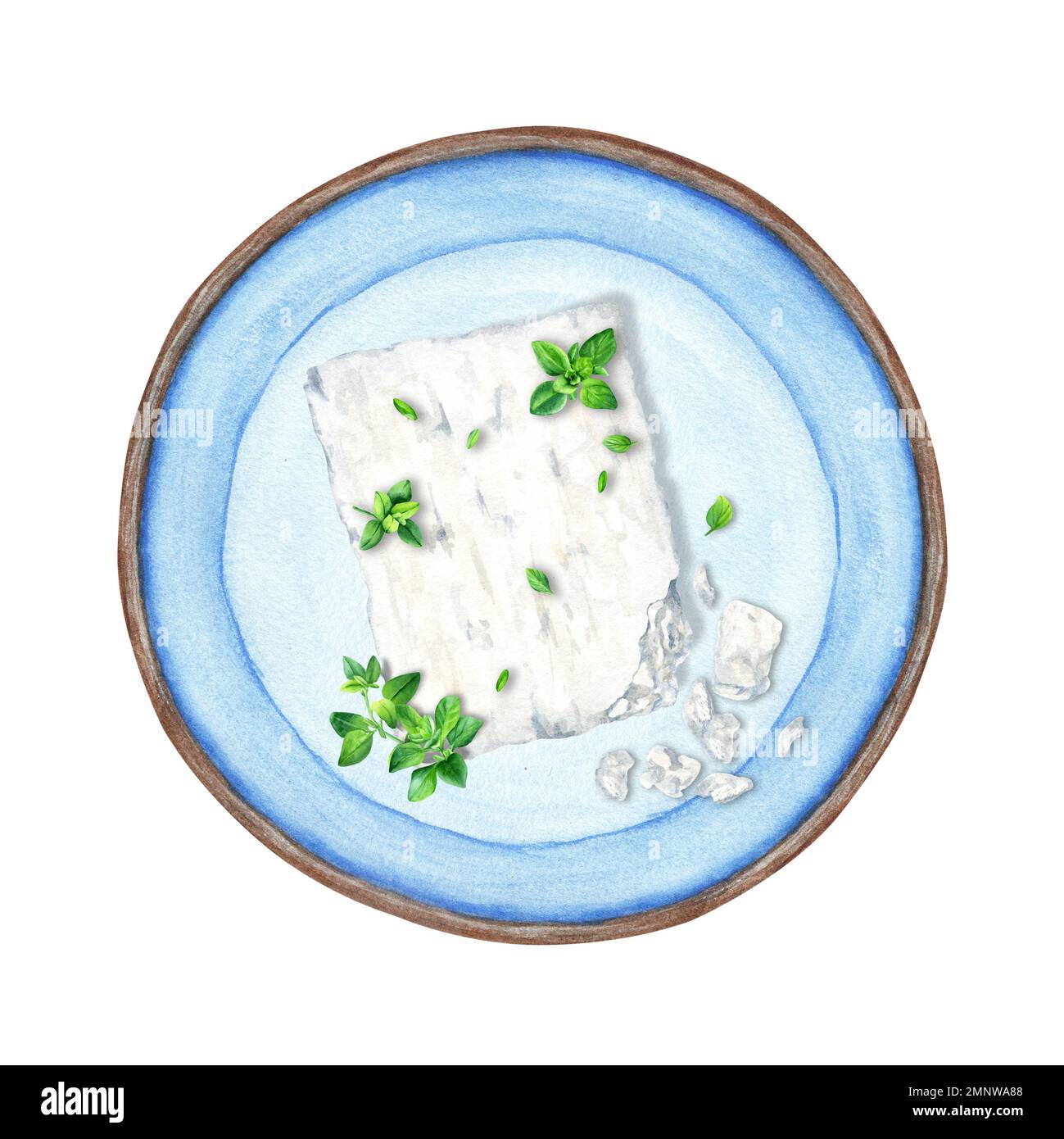 Greek feta cheese block and thyme herb composition in the blue plate ...