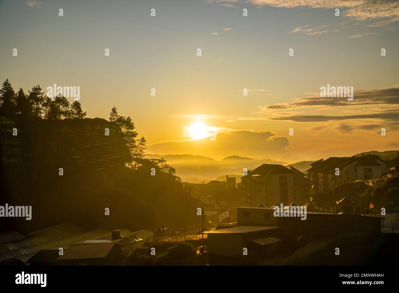 Early morning in Cameron Highland, Malaysia. Aerial view of an organic ...