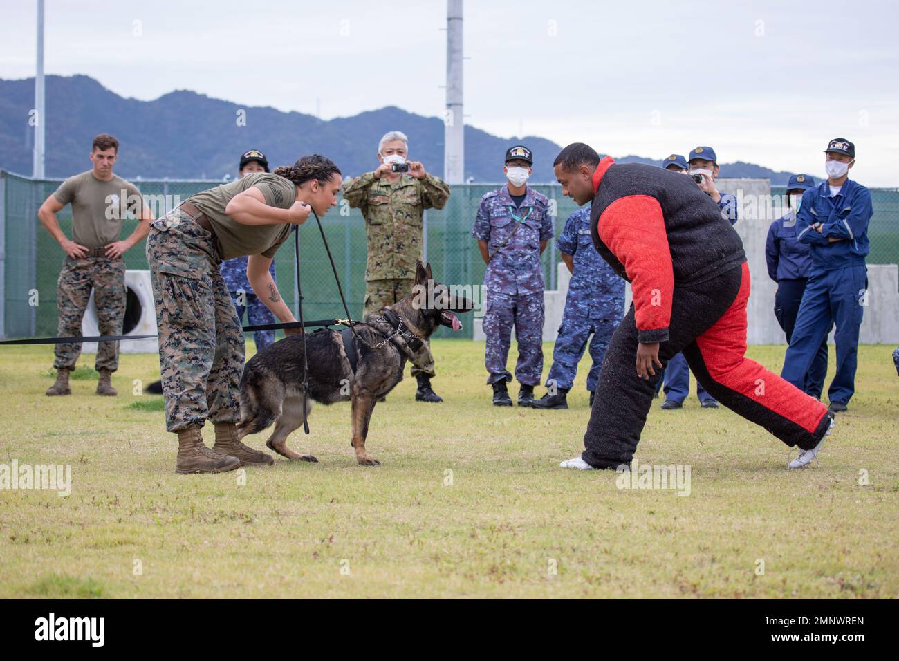 U.S. Marines assigned to Marine Corps Air Station Iwakuni Provost ...