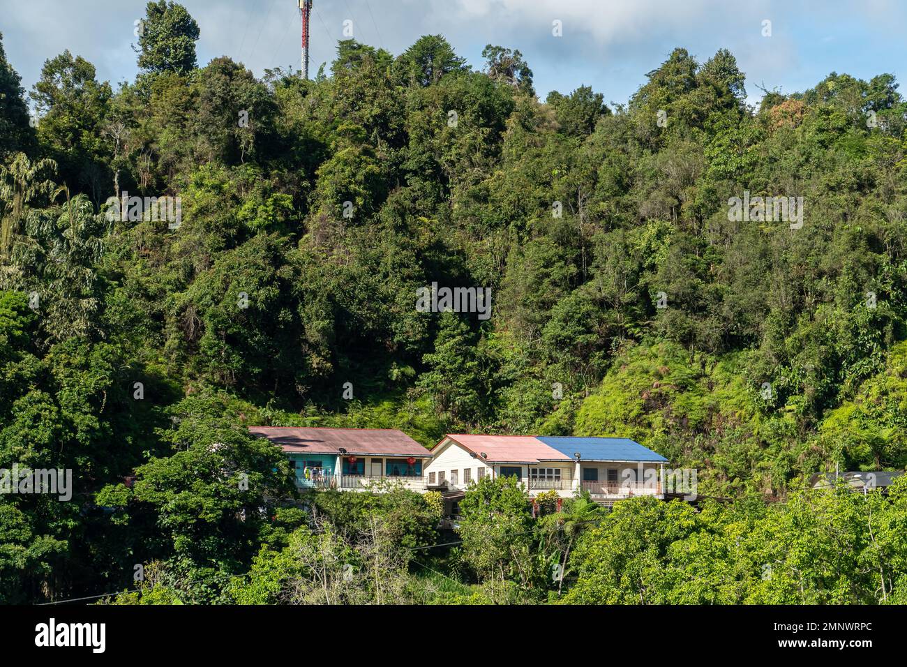 House in the rainforest. Wooden cottage in the middle of forest ...