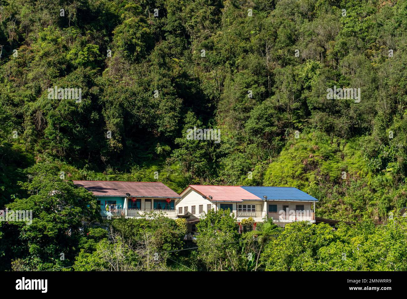 House in the rainforest. Wooden cottage in the middle of forest ...