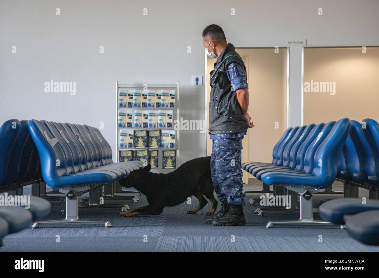 A Japan Maritime Self-Defense Force member watches a military working ...