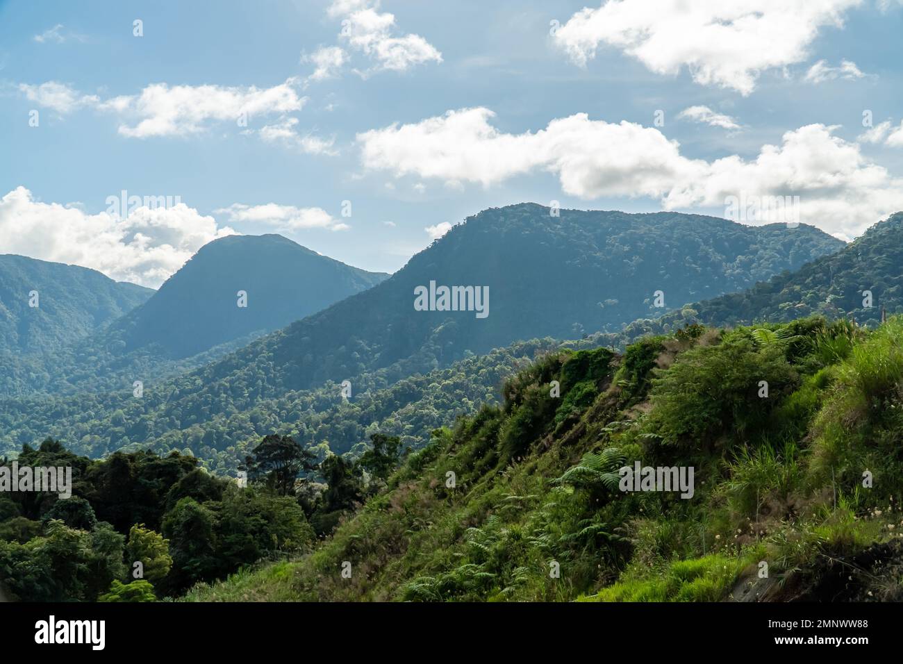 Sunny afternoon. wonderful summer landscape in mountain. Rural scenery ...