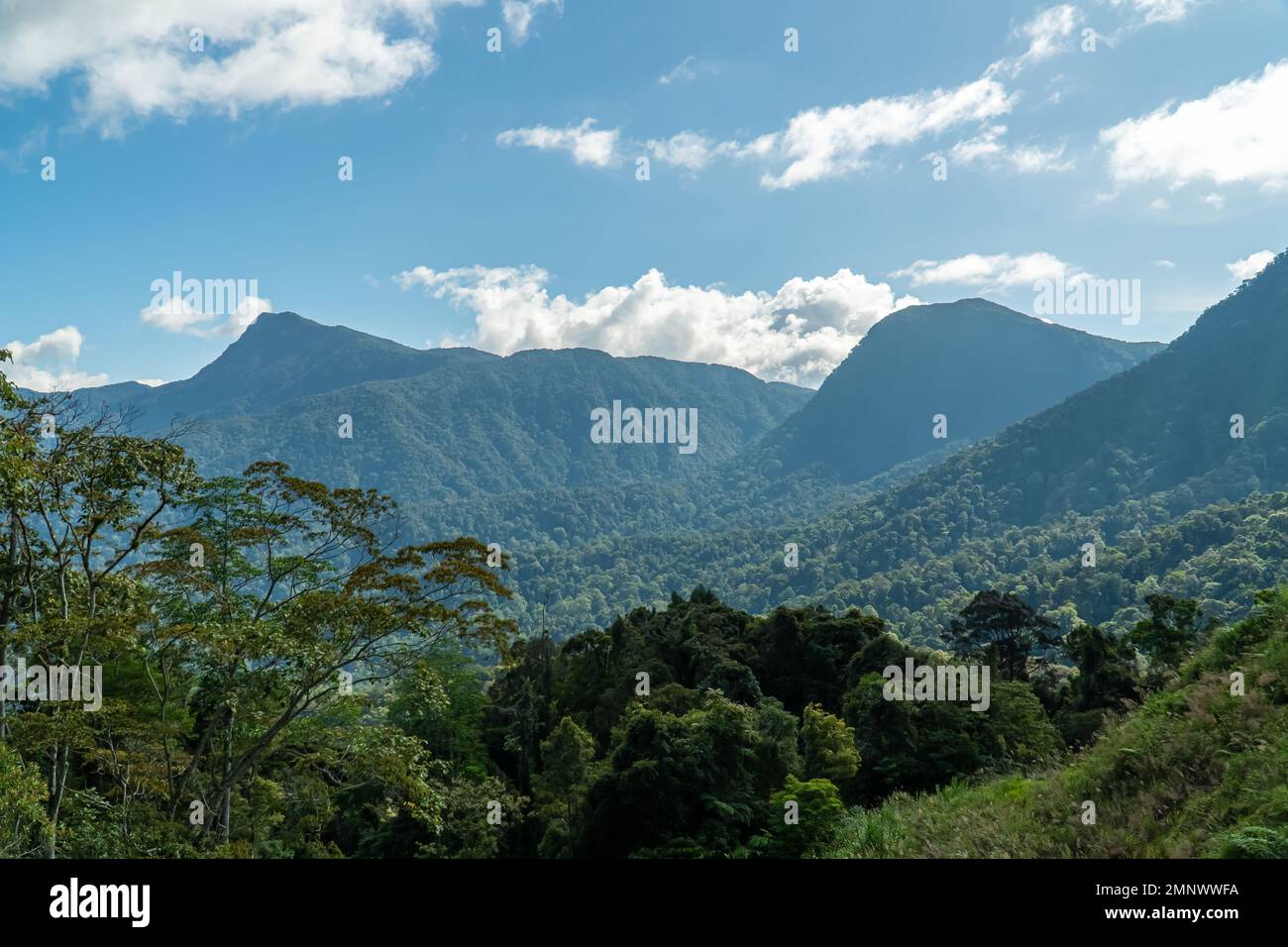 Sunny afternoon. wonderful summer landscape in mountain. Rural scenery ...