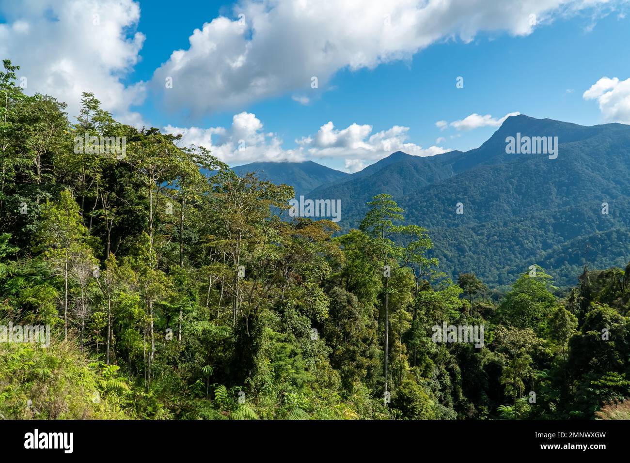 Sunny afternoon. wonderful summer landscape in mountain. Rural scenery ...