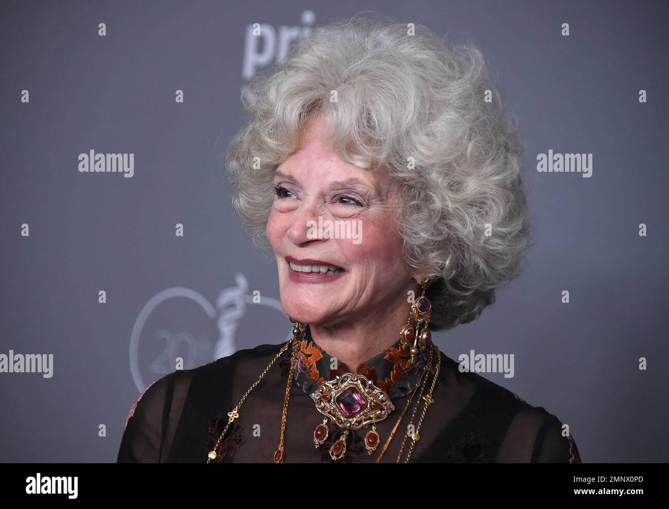 Maggie Schpak arrives at the 20th annual Costume Designers Guild Awards ...