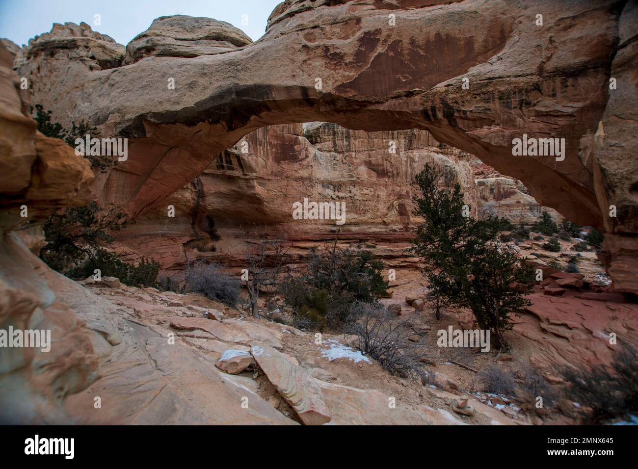 The trail to Hickman Natural Bridge in Utah's Capitol Reef National ...