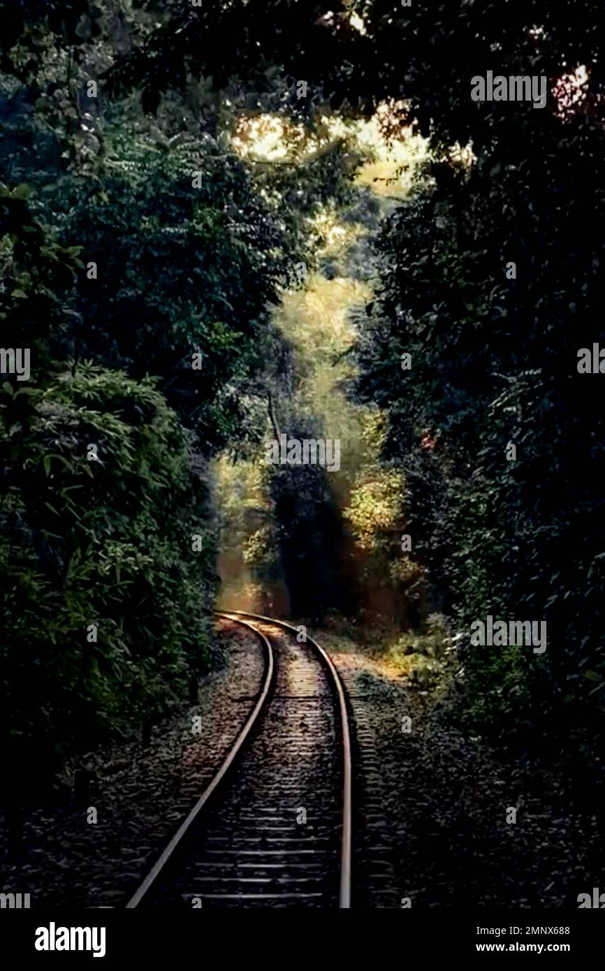Landscape with train rails Stock Photo - Alamy